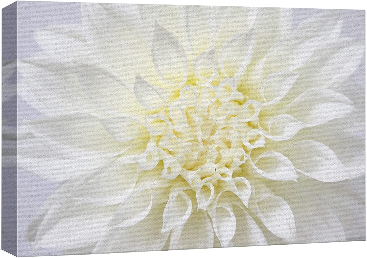 AatoeaX Canvas Print Wall Art Vibrant High Contrast Detail White Flower ...