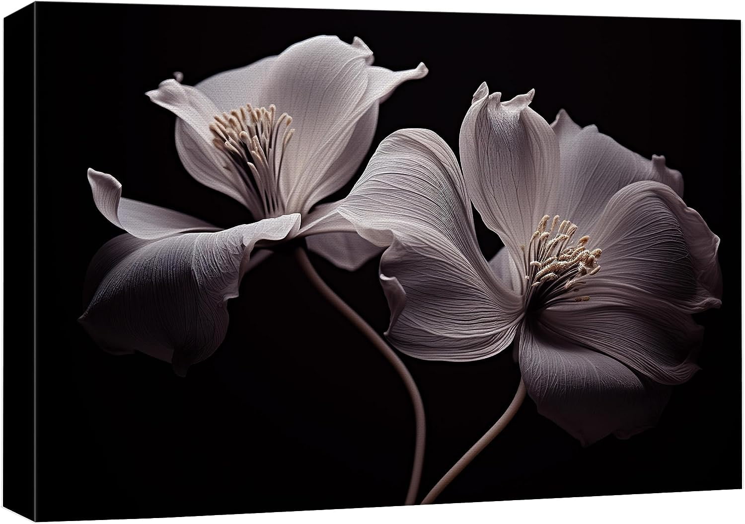 AatoeaX Canvas Print Wall Art White Clematis Flower Closeup Nature ...