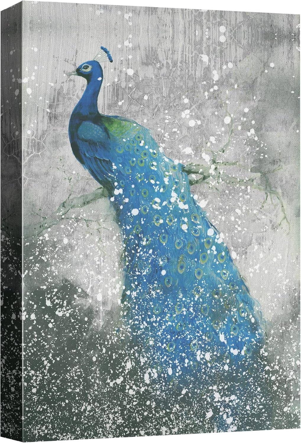 AatoeaX Canvas Print Wall Art White Paint Splatter Effect on Peacock ...