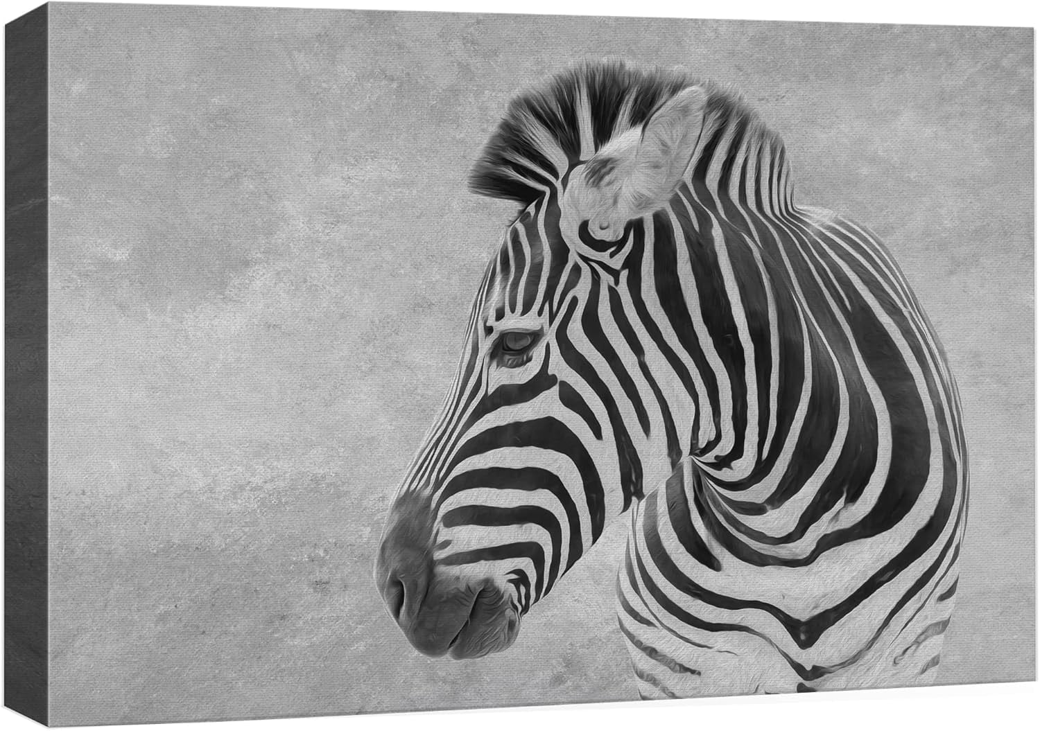 AatoeaX Canvas Print Wall Art Zebra Portrait on Graphite Background ...