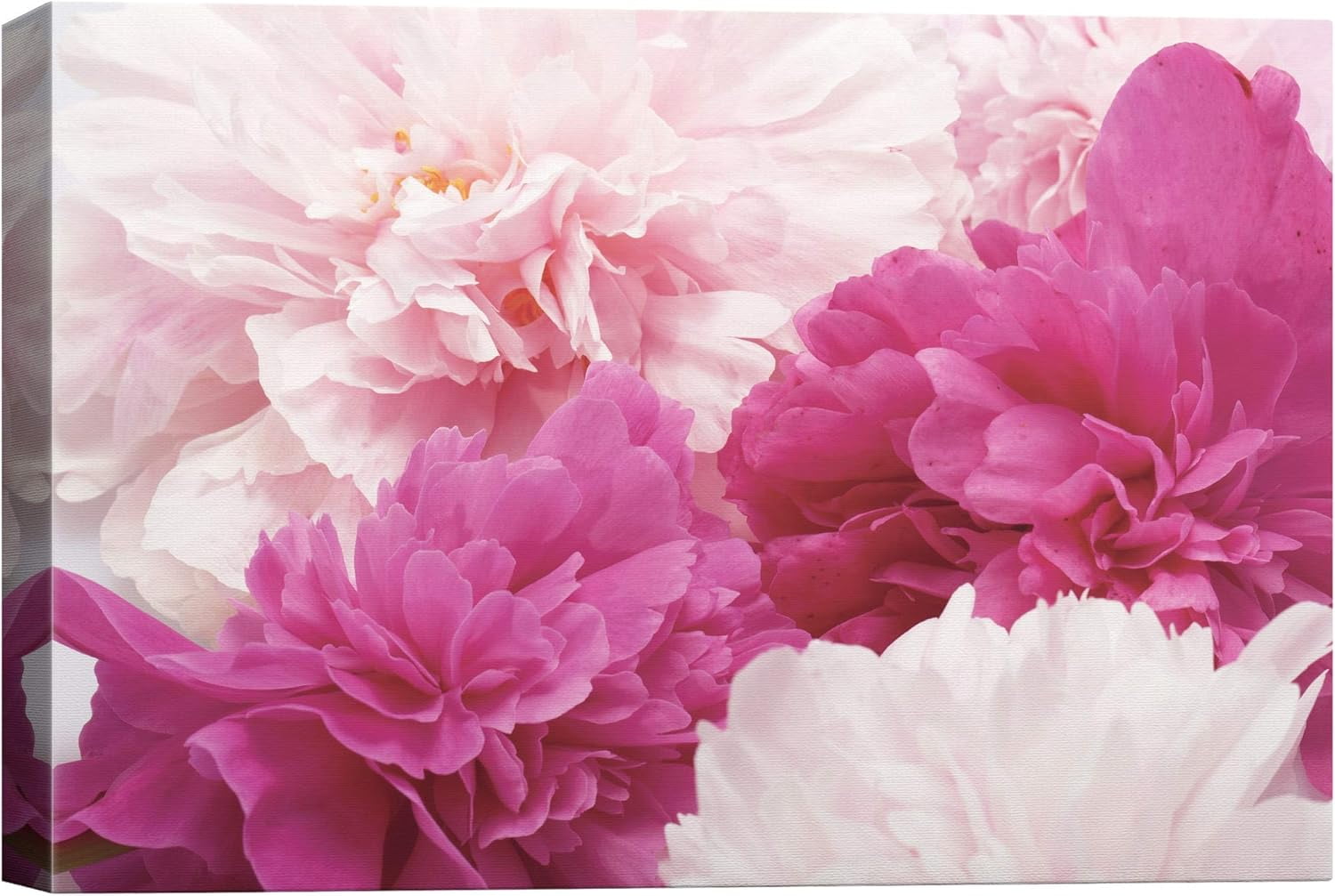 AatoeaX Canvas Wall Art Bouquet of Blush Pink, Red and White Peony ...