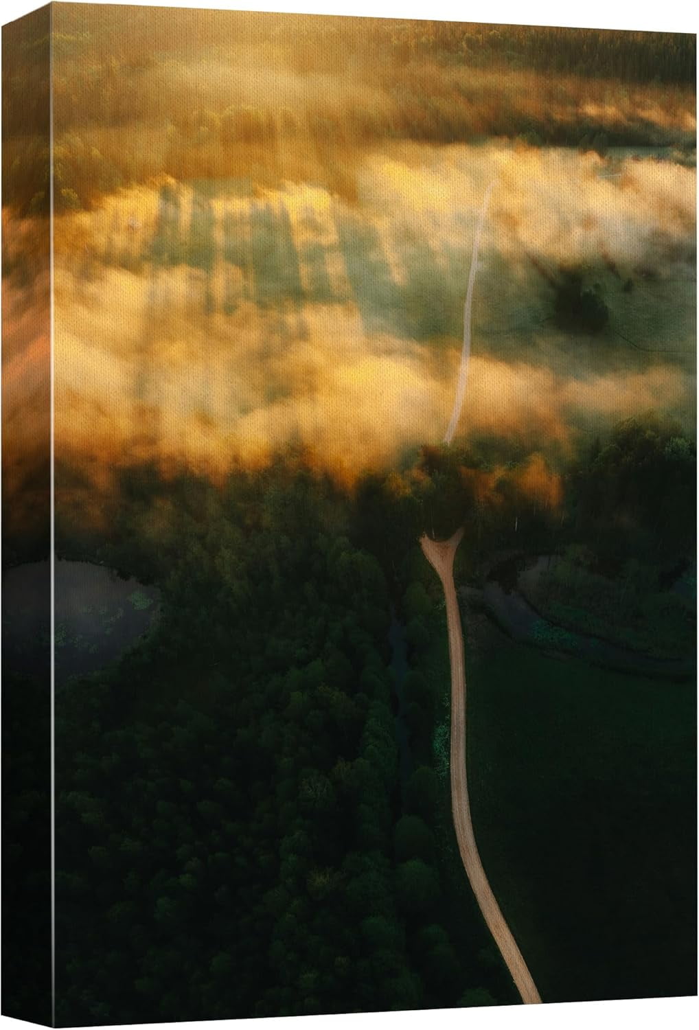 AatoeaX Canvas Wall Art Golden Sunrise Over Forest and Path Photography ...