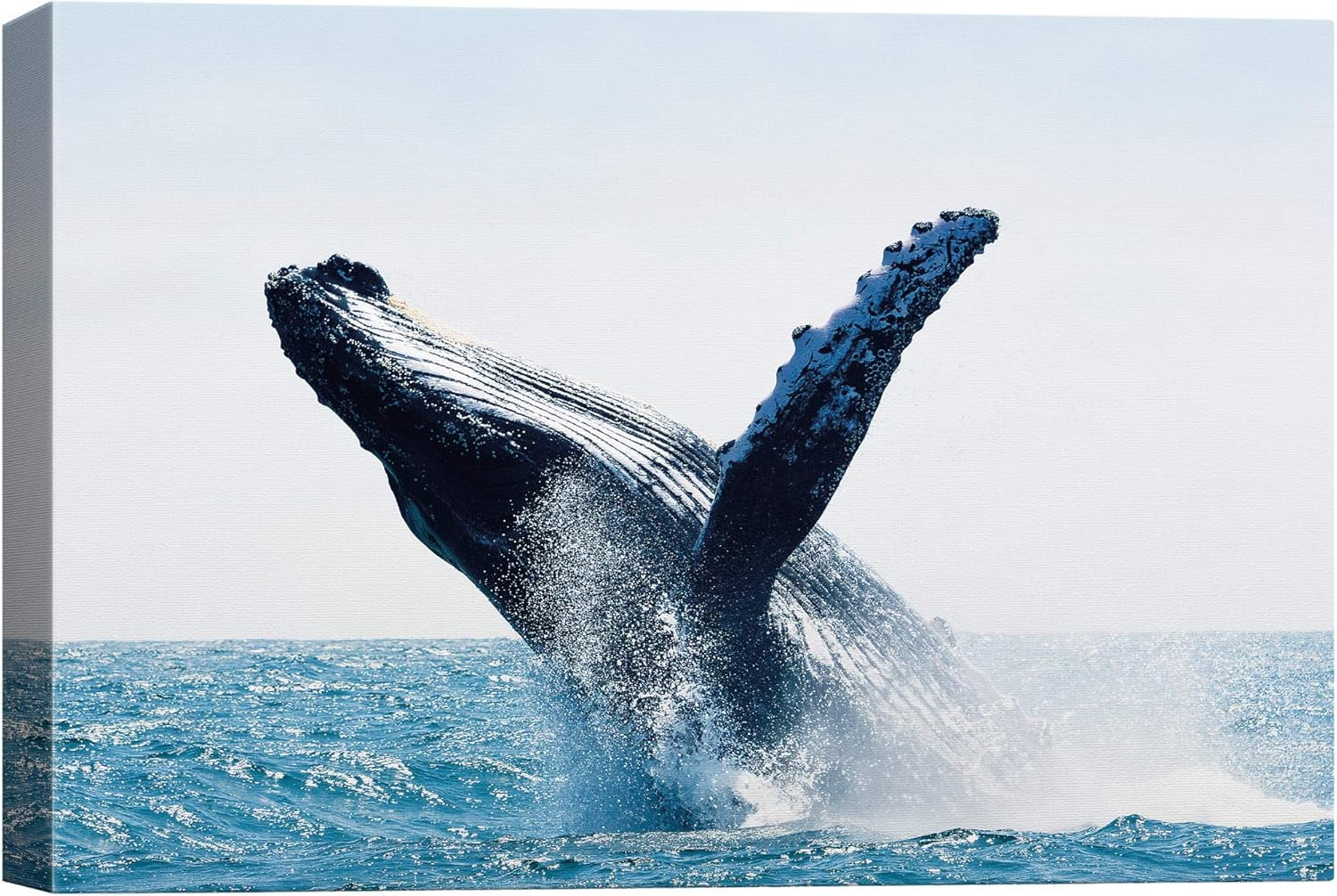 AatoeaX Canvas Wall Art A Humpback Whale Doing Back Flip in The Blue ...