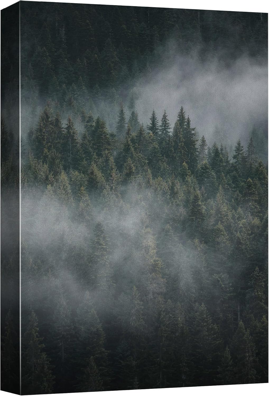 AatoeaX Canvas Wall Art Misty Pine Forest Landscape Photography Modern ...