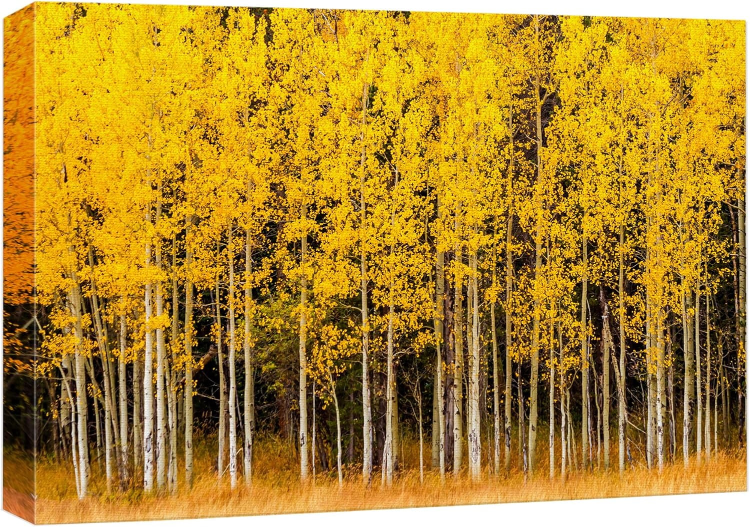 AatoeaX Canvas Wall Art Monochrome Bison Majesty Wildlife Snowy Forest ...