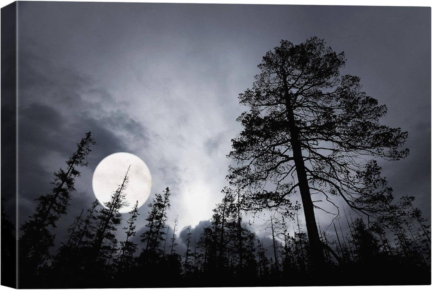 AatoeaX Canvas Wall Art-Moonlight in The Forest Canvas Prints Home Artwork Decoration for Living ...