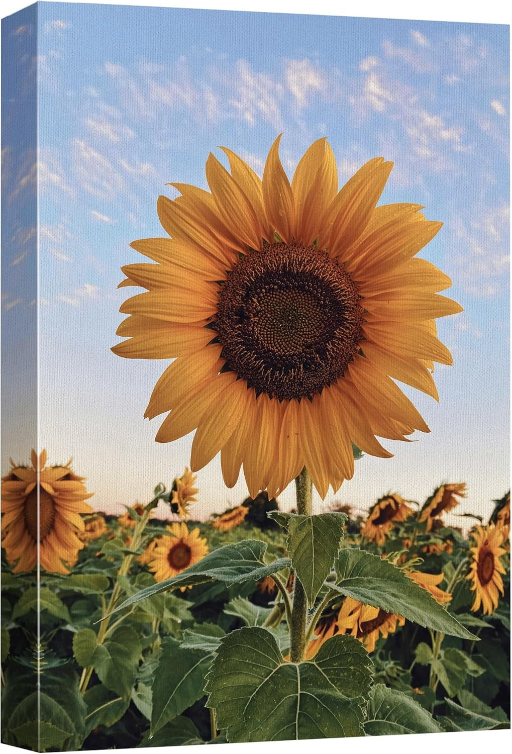 AatoeaX Canvas Wall Art Vibrant Sunflower Field Under Blue Sky ...