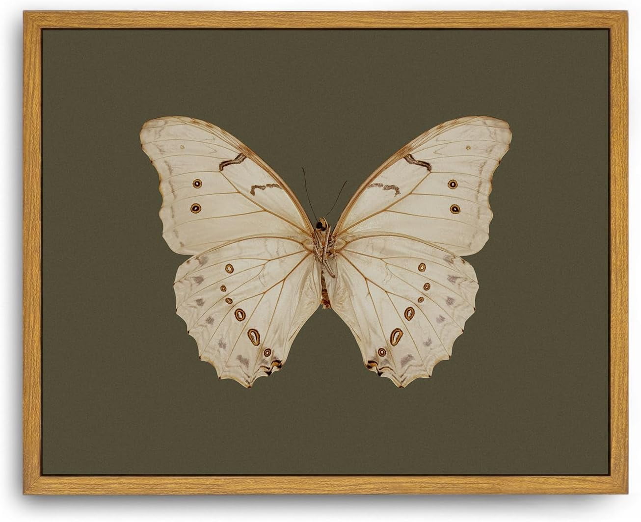 AatoeaX Canvas Wall Art Vintage Print White Butterfly Paintings Dark ...