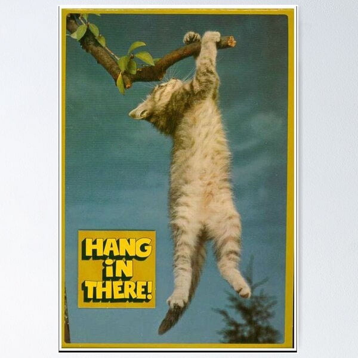 AatoeaX Cat In Hang Poster PosterAesthetic Home Decor – Perfect for ...