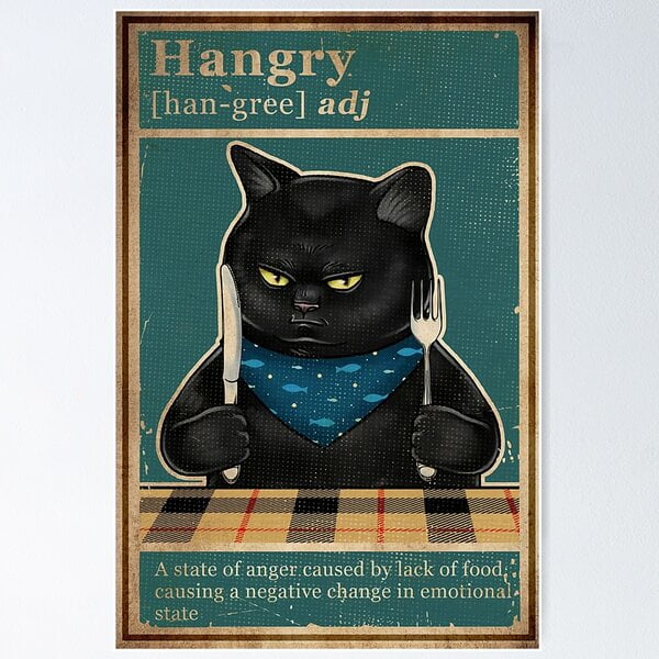 AatoeaX Cat hangry Poster Aesthetic Home Decor – Perfect for Gallery ...