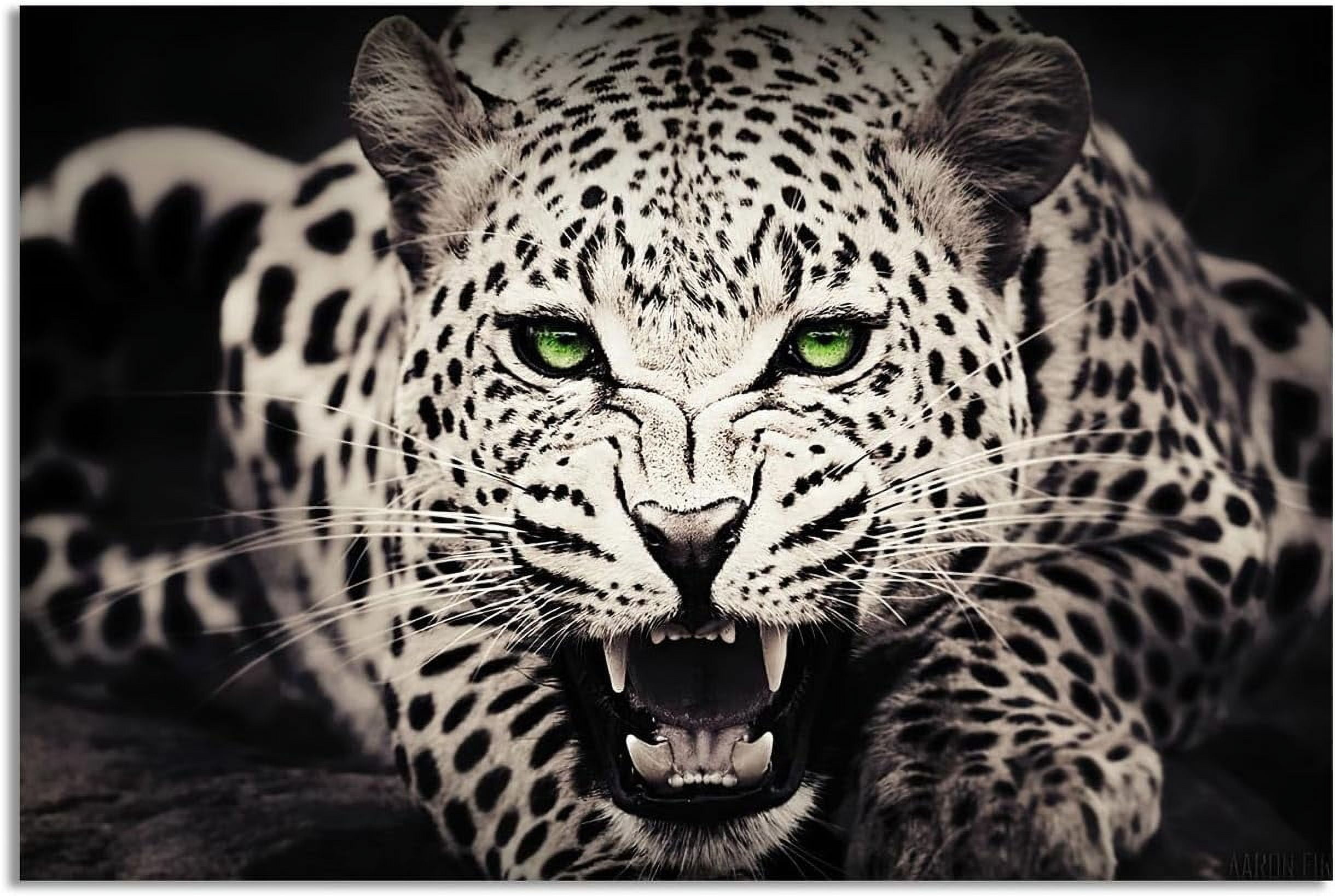 AatoeaX Cheetah Room Decor Leopard Canvas Wall Art Poster Paintings ...