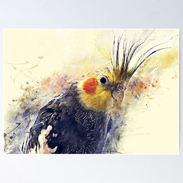 AatoeaX Cockatiel Poster Aesthetic Home Decor – Perfect for Gallery ...
