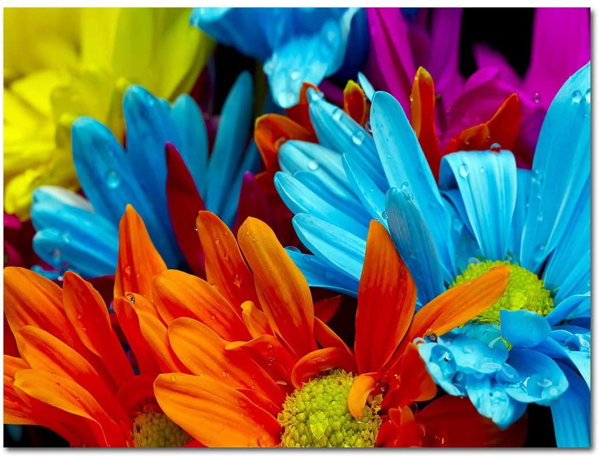 AatoeaX Colorful Sunflower Print on Canvas Wall Art Multicolor Flower ...