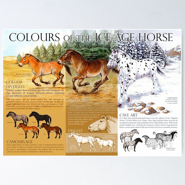 AatoeaX Colours of the Ice Age Horse PosterAesthetic Home Decor ...