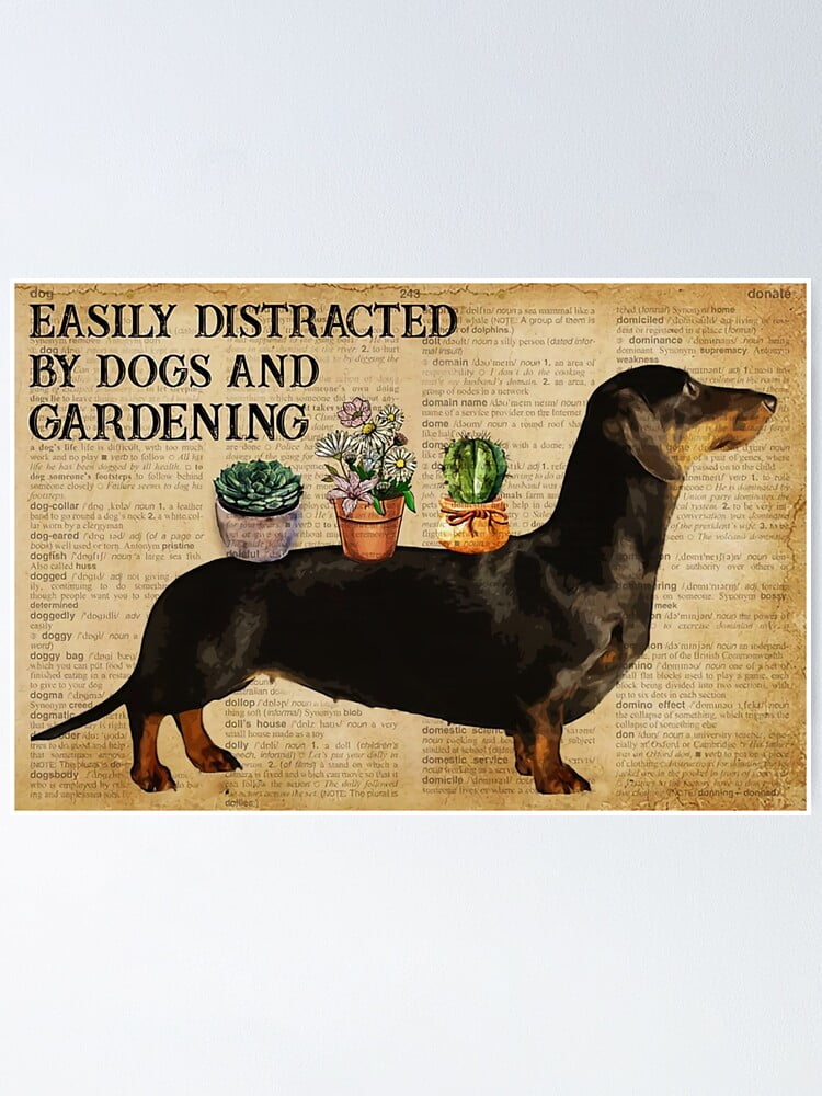 AatoeaX Dictionary Distracted By Dachshund And Gardening Poster Modern ...