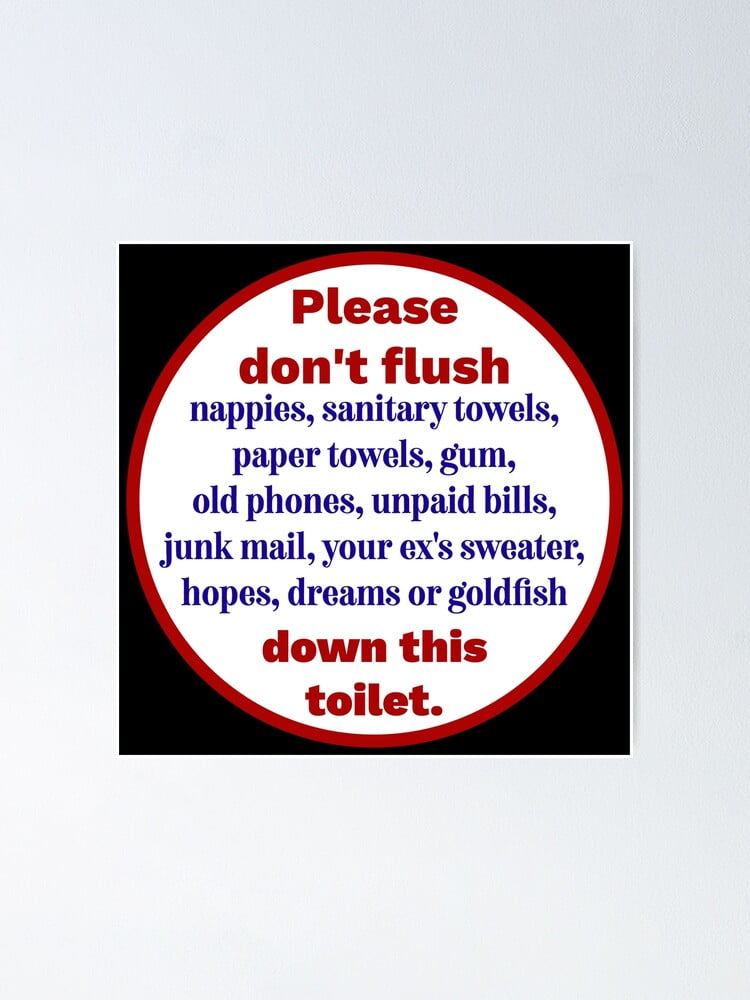 AatoeaX Do not flush Poster Aesthetic Home Decor – Perfect for Gallery ...