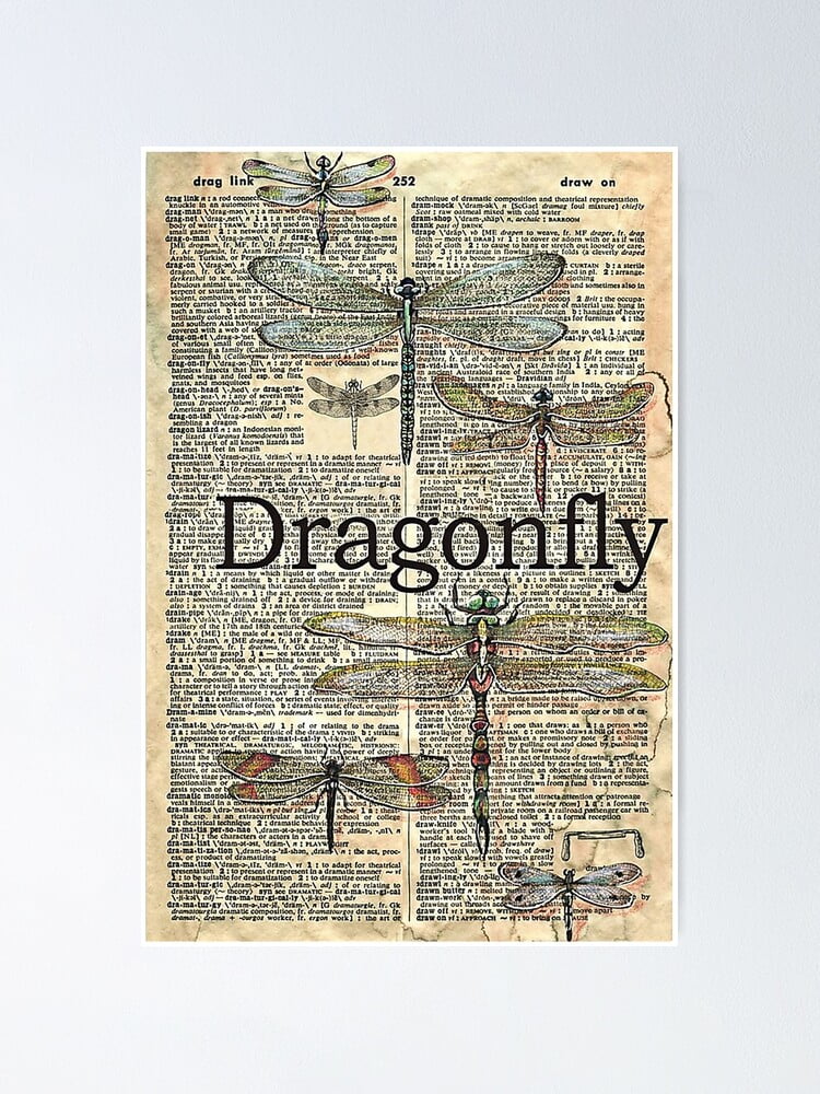 AatoeaX Dragonfly Dictionary Art Poster Modern Wall Art Canvas Poster – Aesthetic Print for Home ...