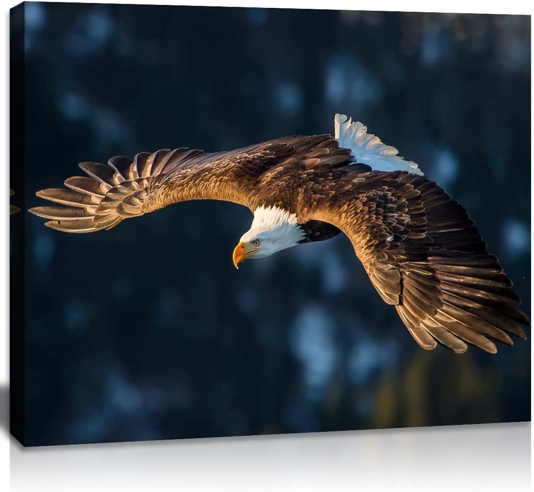 AatoeaX Eagle Canvas Wall Art Brown and White Flying Bald Eagle Picture ...