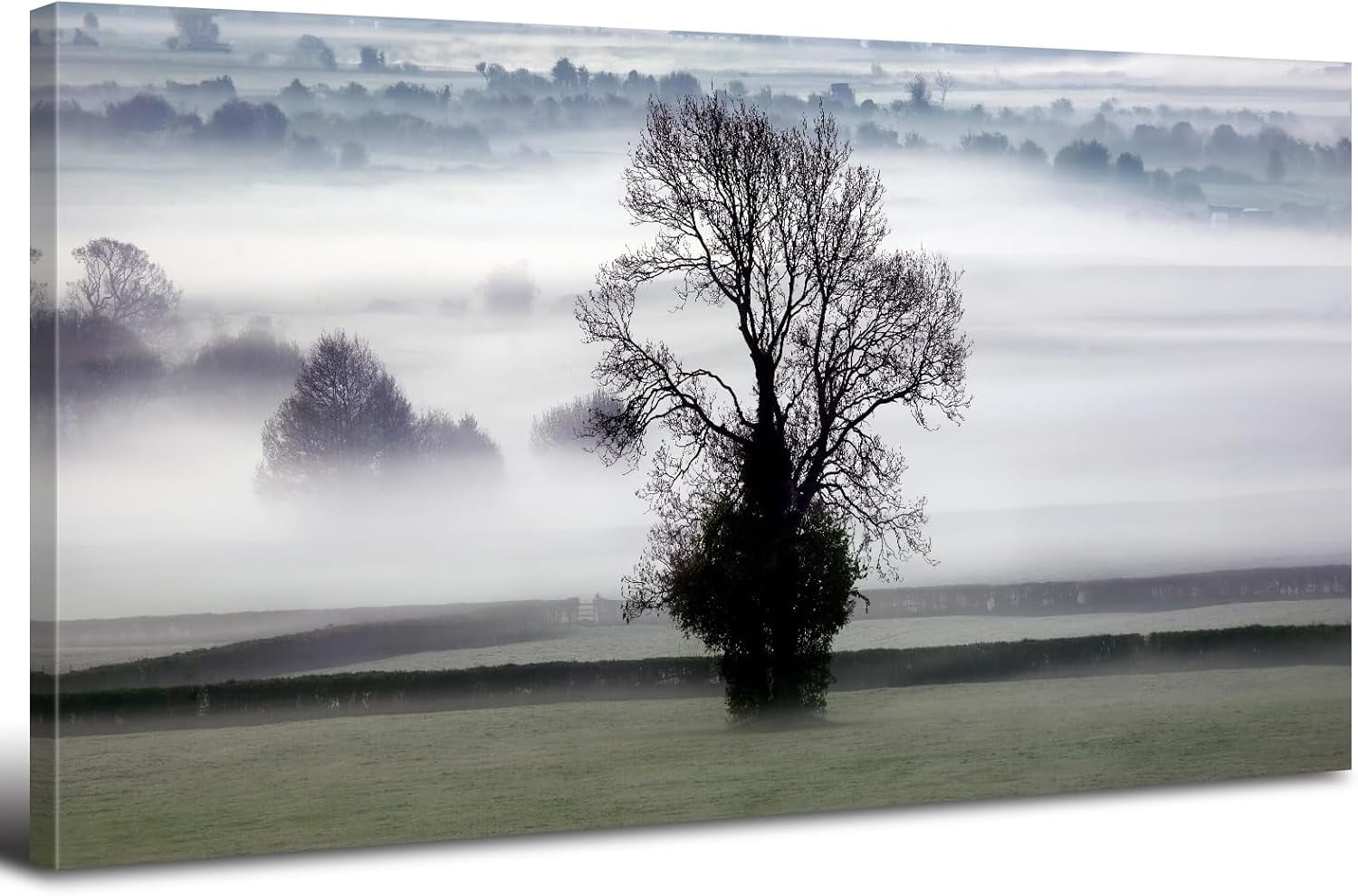 AatoeaX Extra Nature Canvas Wall Art Foggy Forest Picture Wall Decor ...