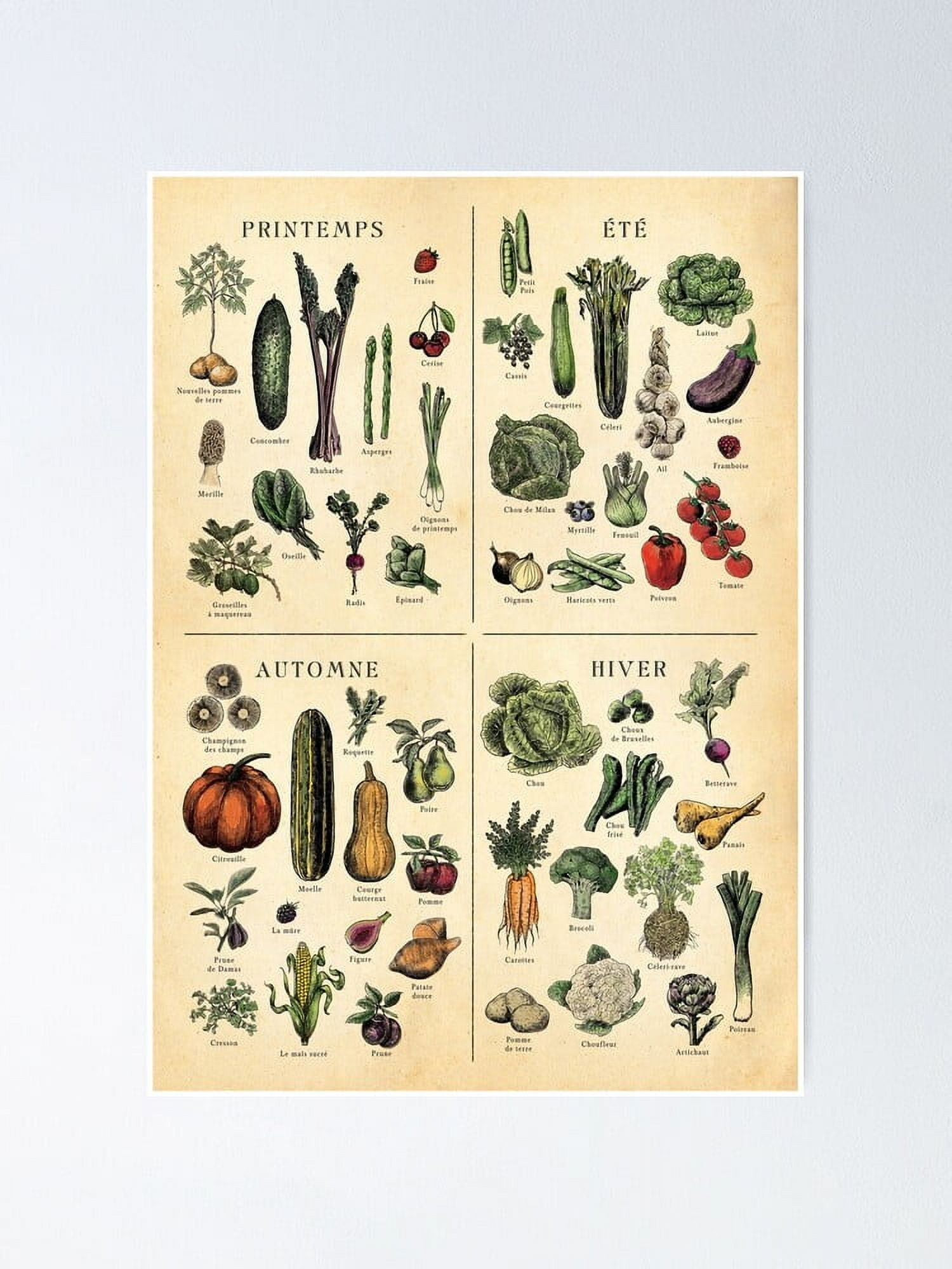 AatoeaX FRENCH Seasonal Fruit and Veg Chart Poster Modern Wall Art ...