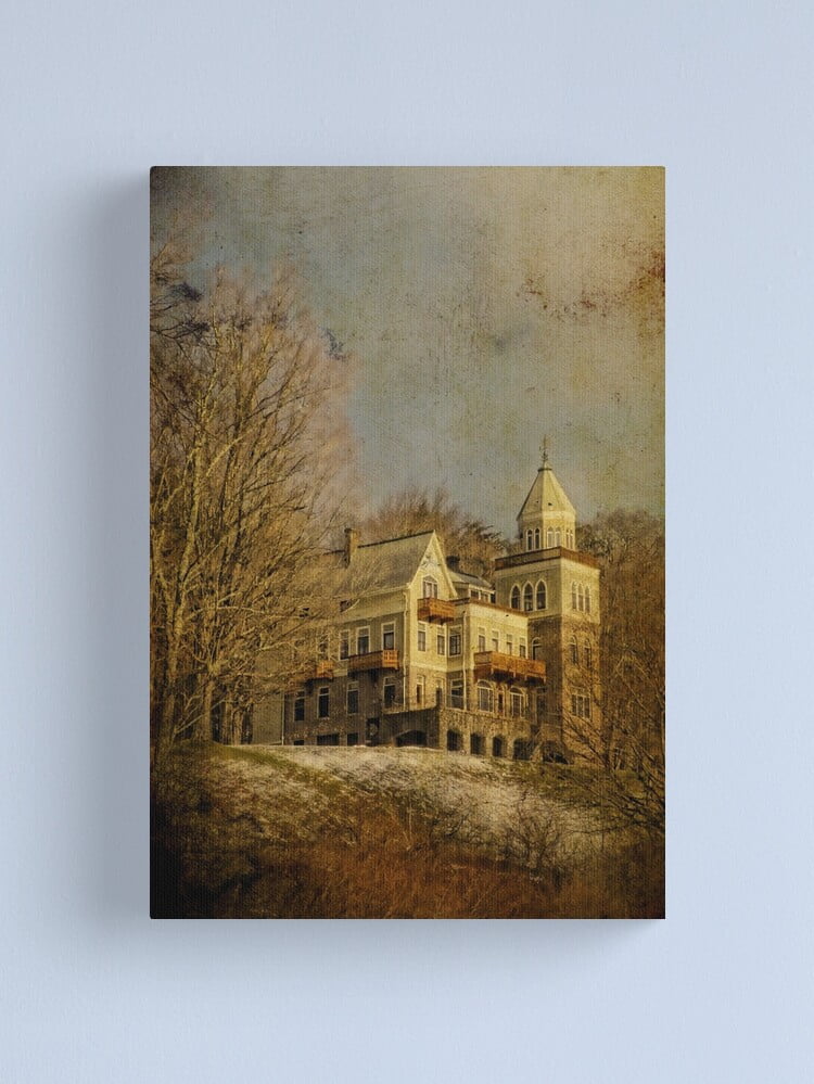 AatoeaX Forstmann Castle Canvas Print Modern Wall Art Canvas Poster ...