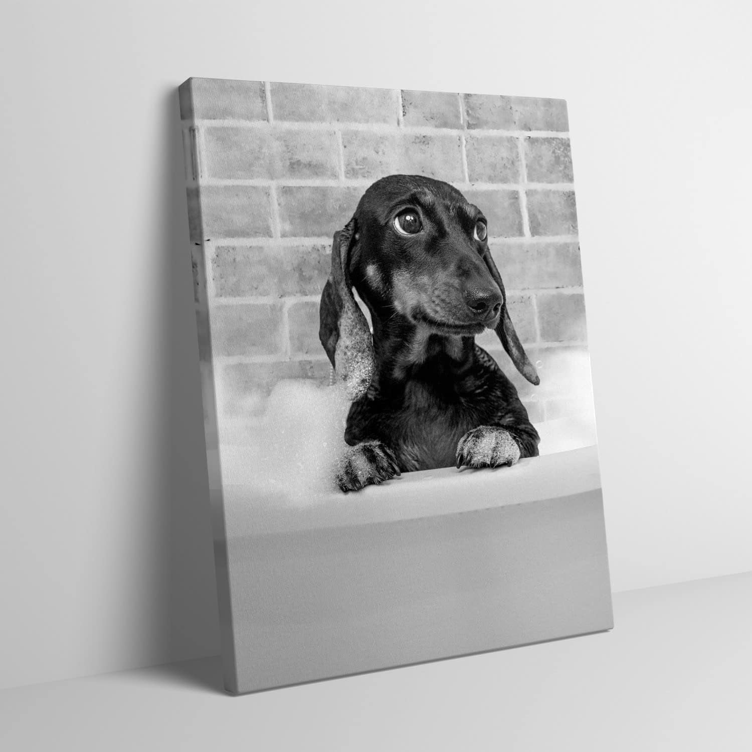 AatoeaX Funny Animal Wall Art Bathroom Wall Decor Black Dog Dachshund ...