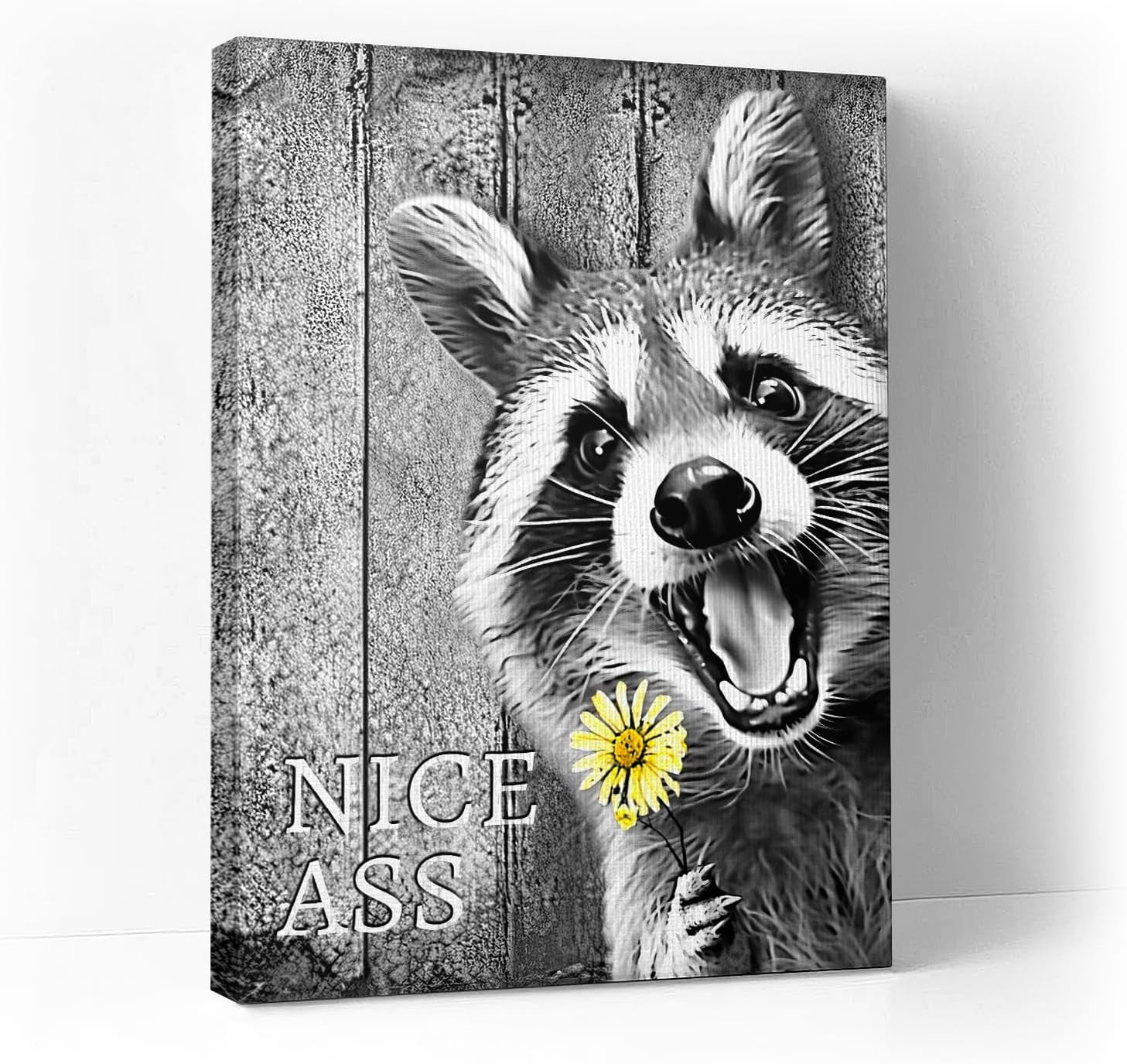 AatoeaX Funny Raccoon Canvas Wall Art Black And White Raccoon Wall ...