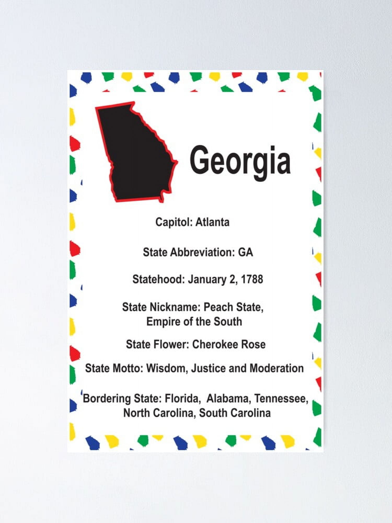AatoeaX Georgia Information Educational Poster Modern Wall Art Canvas ...