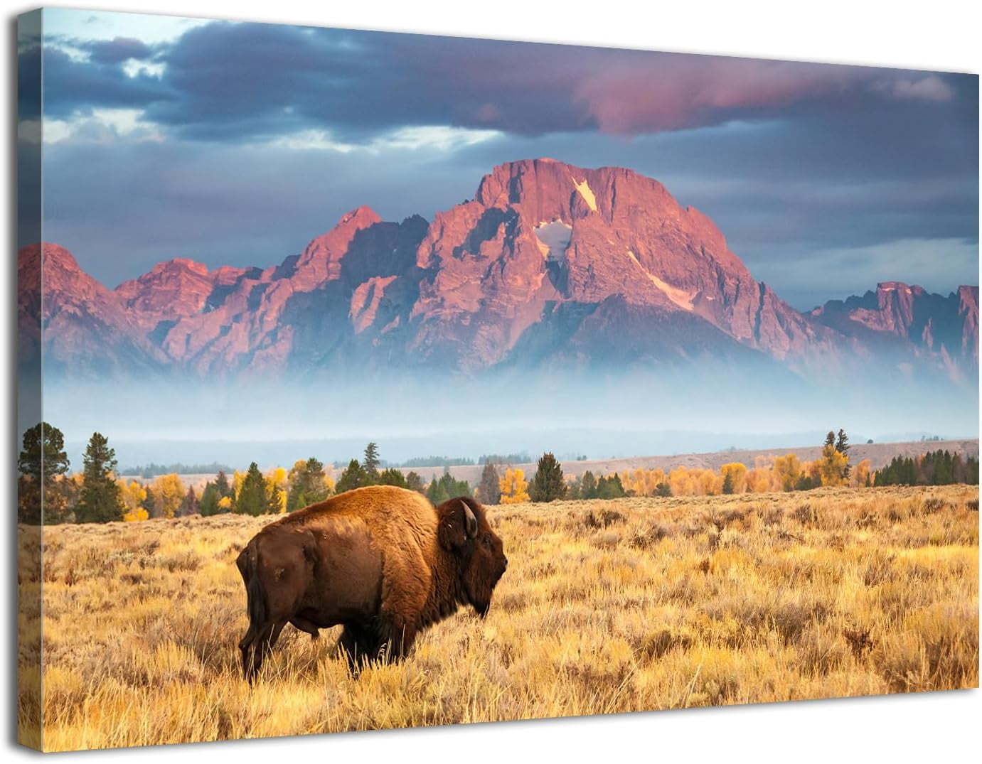 AatoeaX Grand Teton Smoky Mountain Wall Art Highland Bison Cow Canvas ...