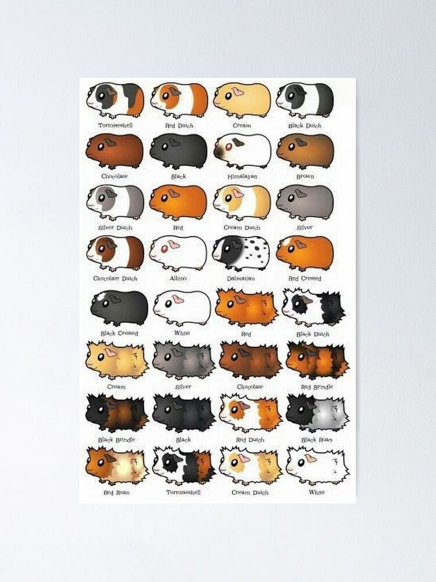 AatoeaX Guinea Pig – Cavy Collection – Model 08 Poster Modern Wall Art ...