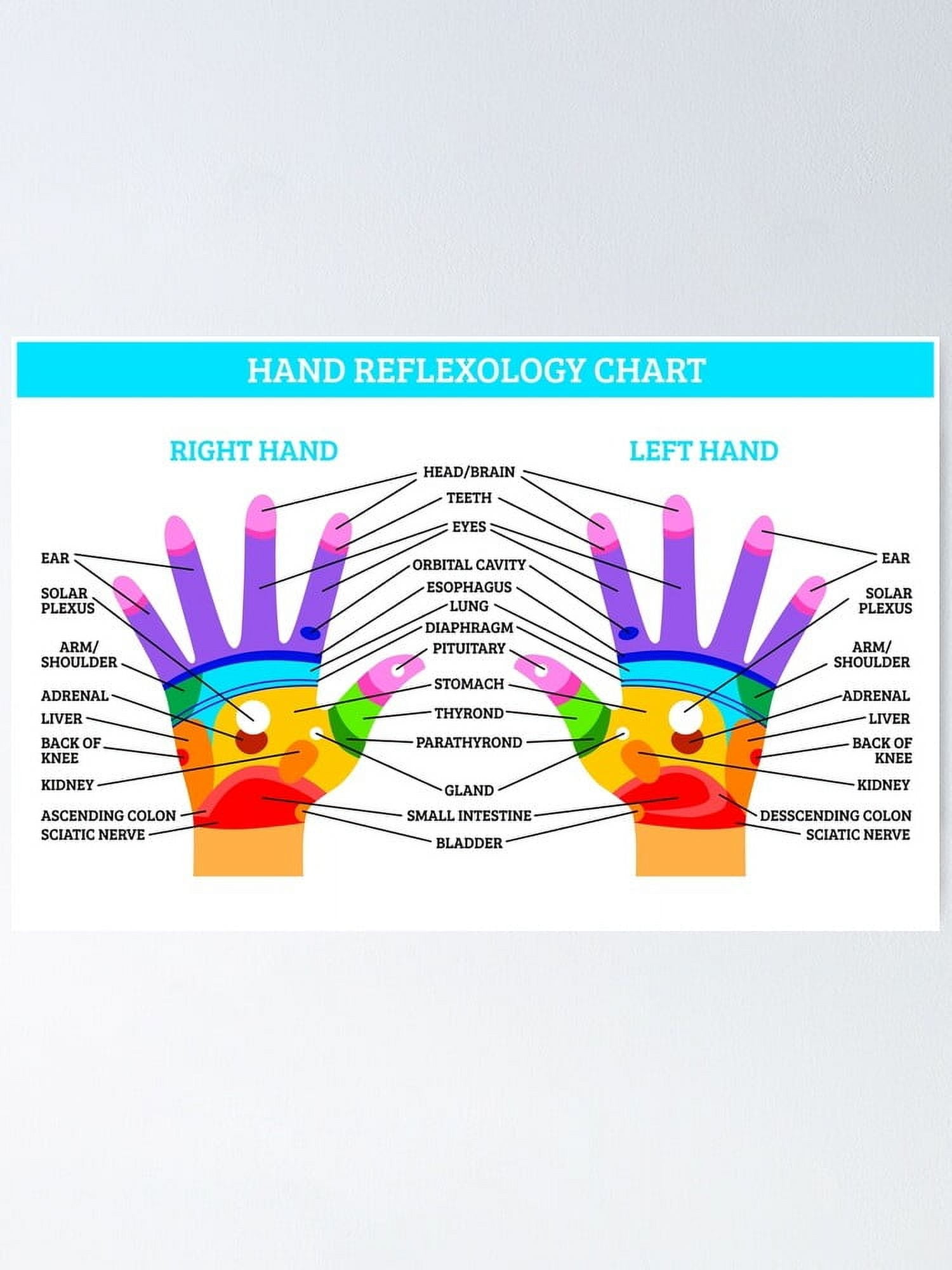 AatoeaX Hand Reflexology Chart Poster Modern Wall Art Canvas Poster ...