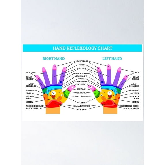 AatoeaX Hand Reflexology Chart Poster Modern Wall Art Canvas Poster ...