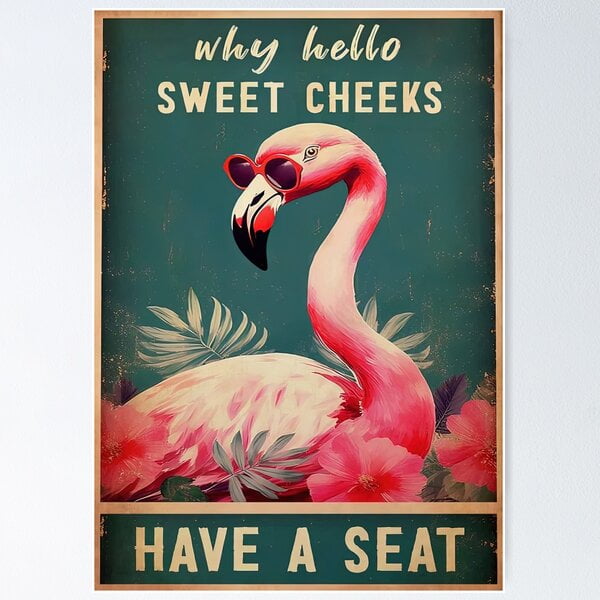 AatoeaX Hello Sweet Cheeks PosterAesthetic Home Decor – Perfect for ...