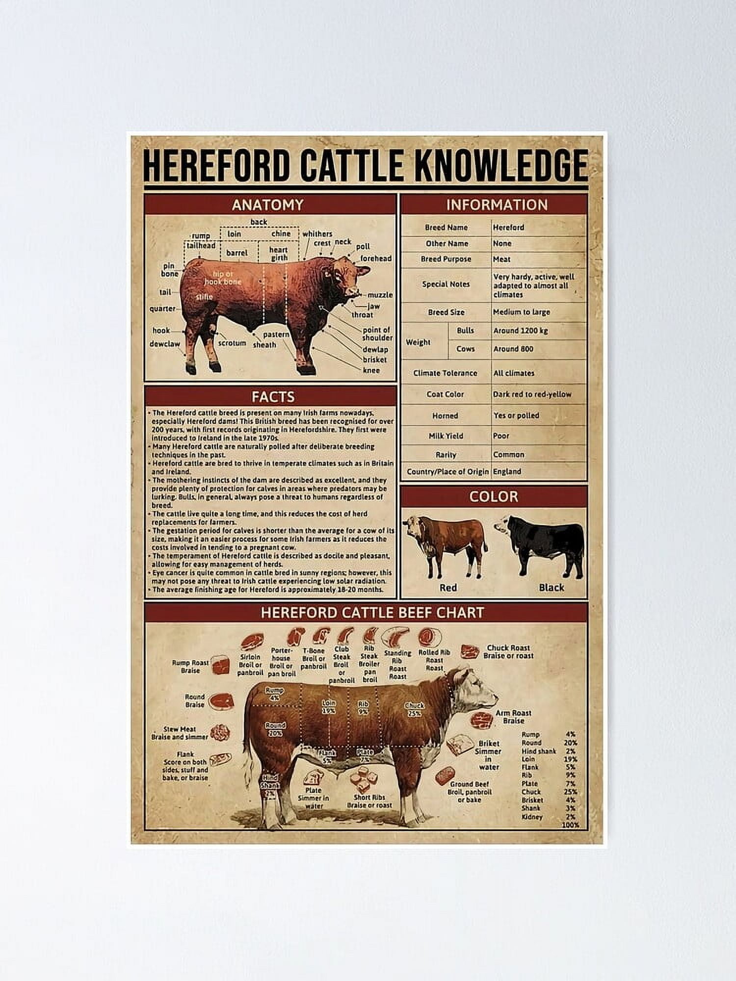 AatoeaX Hereford Cattle Knowledge, Cow Poster Art, Wall Decor Art ...