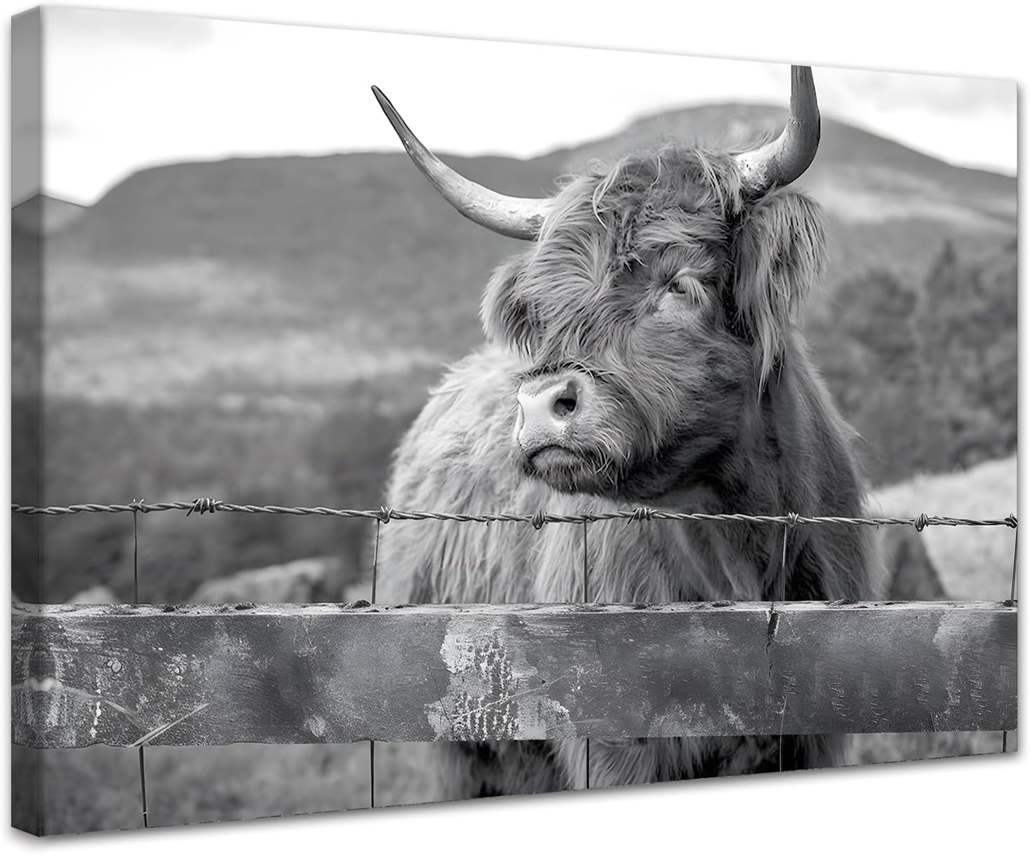 AatoeaX Highland Cow Wall Art Funny Cow Picture Wall Decor Cute Cow ...