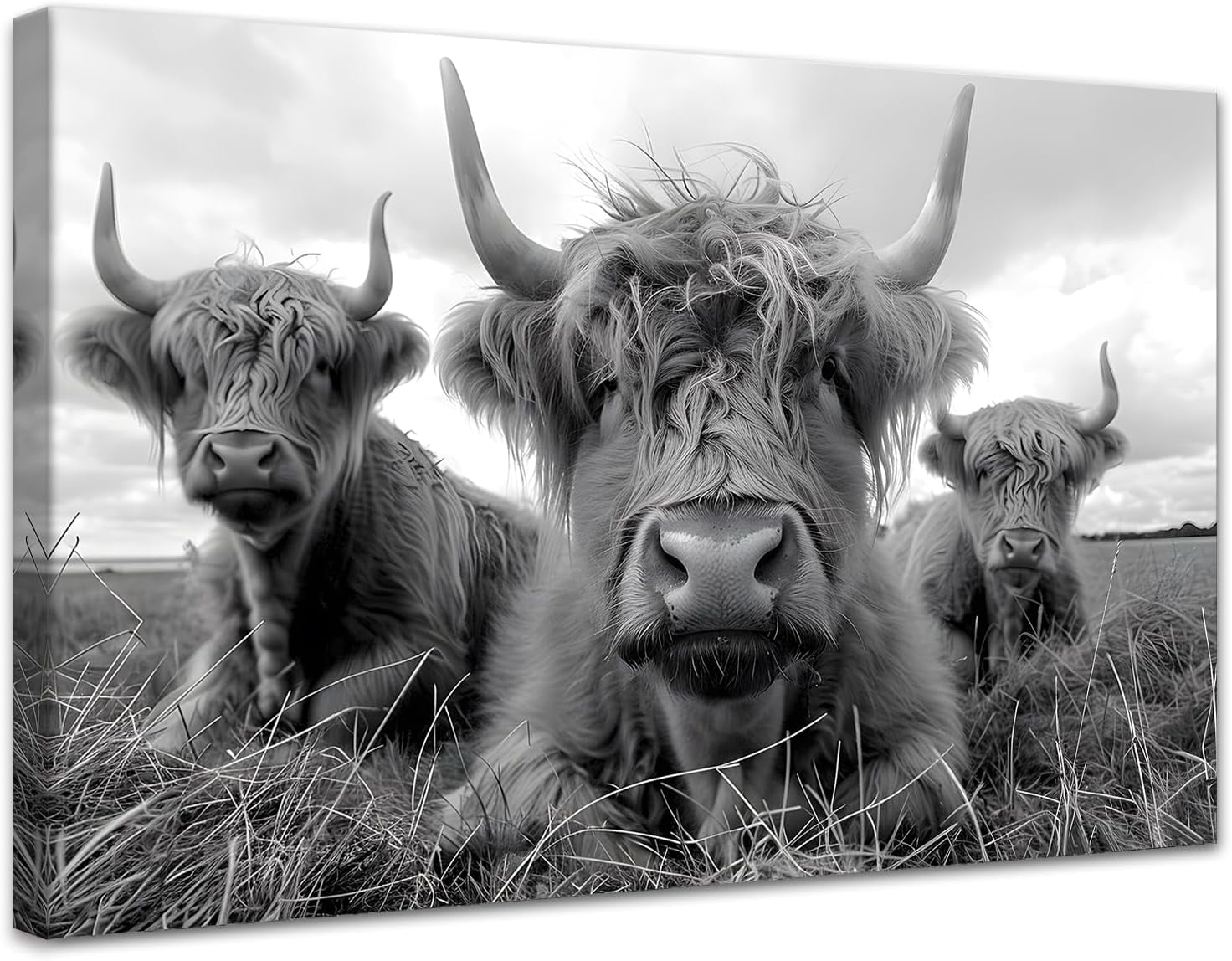 AatoeaX Highland Cow Wall Art Funny Cow Picture Wall Decor Cute Cow ...