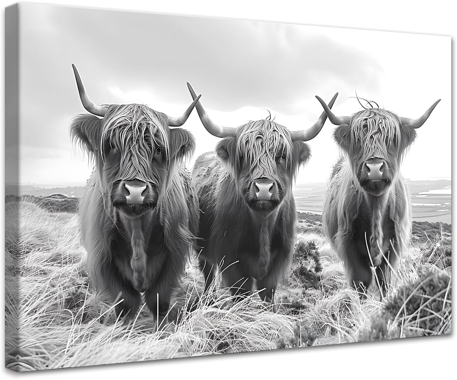 AatoeaX Highland Cow Wall Art Funny Cow Picture Wall Decor Cute Cow ...