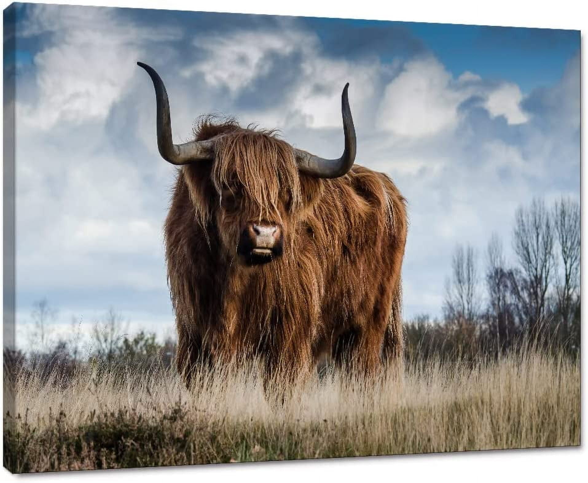 AatoeaX Highland Cow Canvas Wall Art Blue Sky and White Clouds Plateau ...