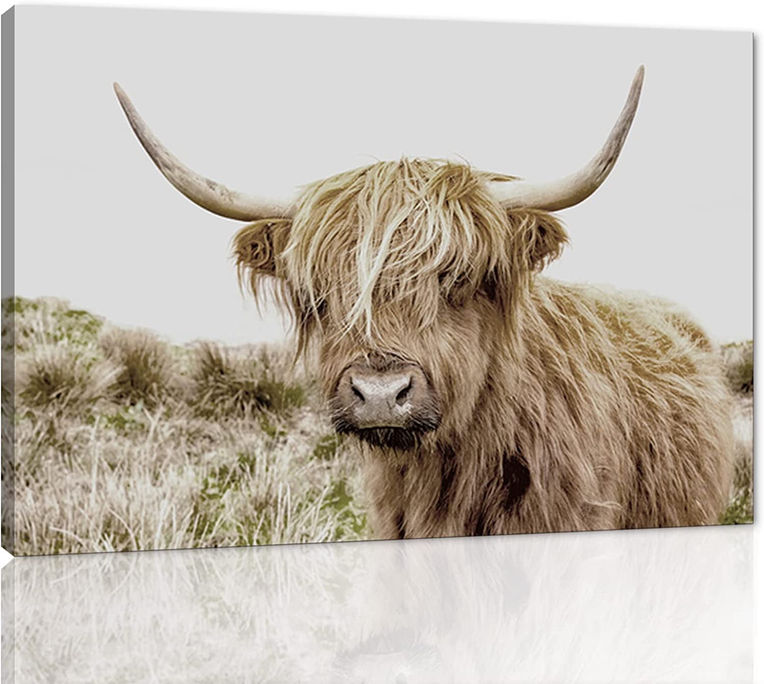 AatoeaX Highland Cow Wall Art Small Size Canvas Print Poster Highland ...