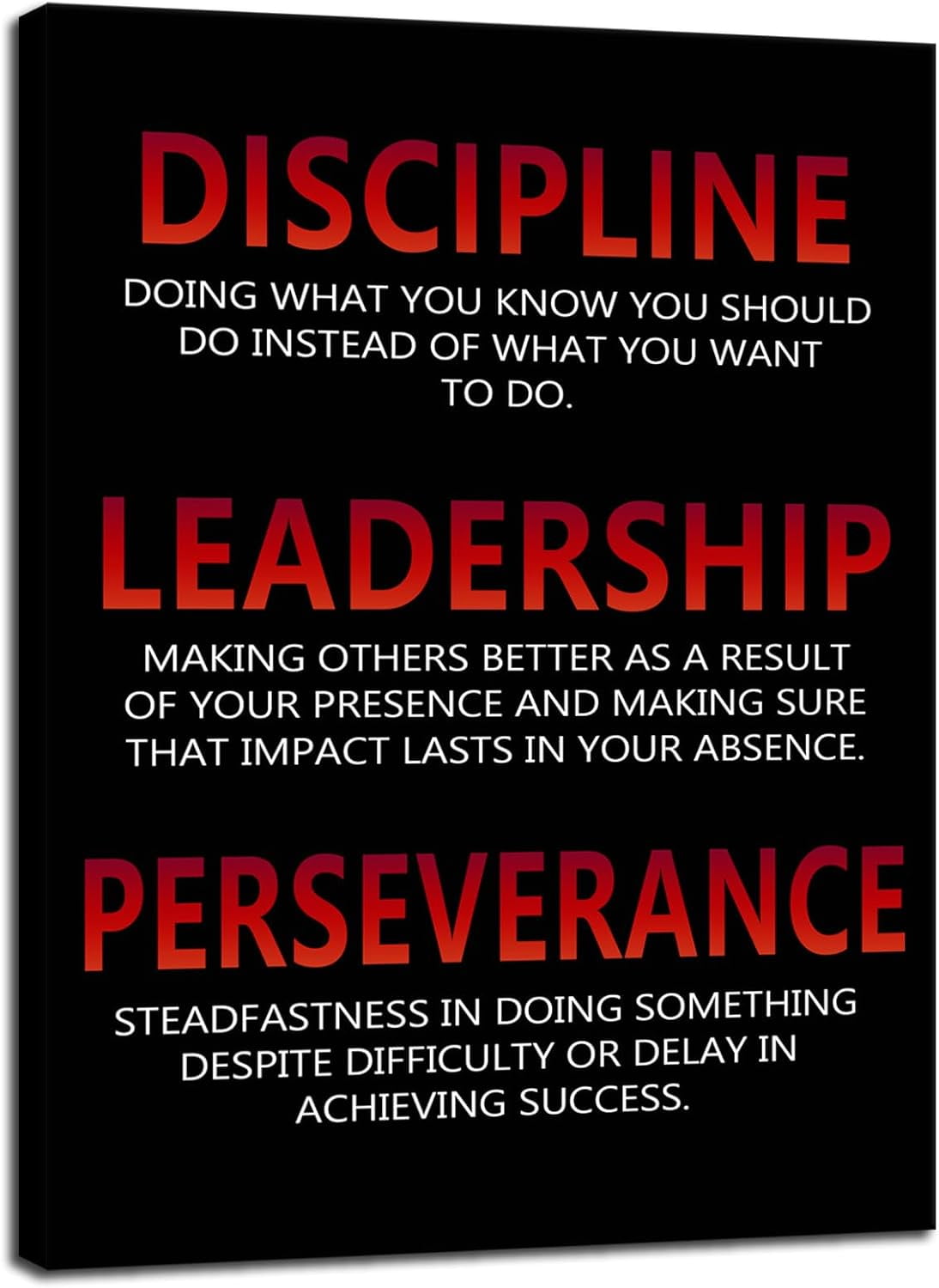AatoeaX Inspirational Wall Art Discipline Leadership Perseverance ...