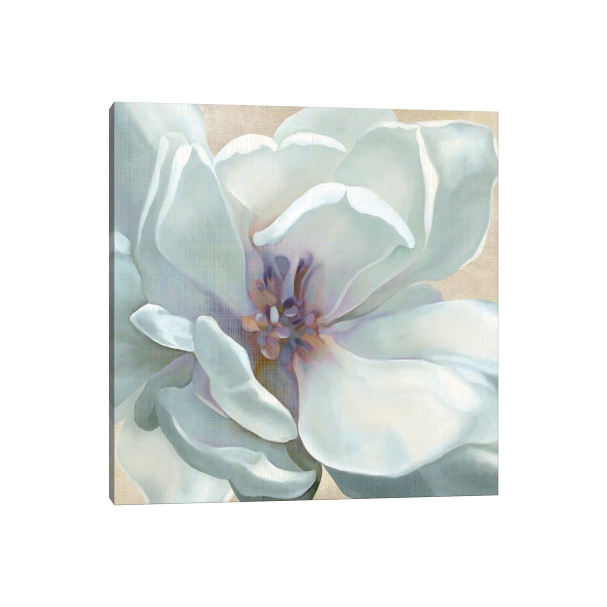 AatoeaX "Iridescent Bloom I" Canvas Print Modern Wall Art Canvas Poster – Aesthetic Print for ...