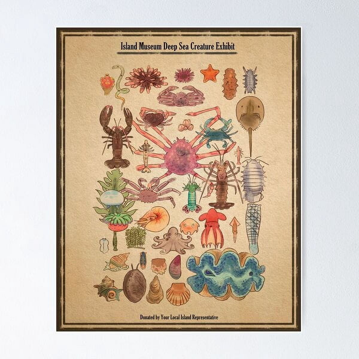 AatoeaX Island Museum Deep Sea Creature Exhibit PosterAesthetic Home ...