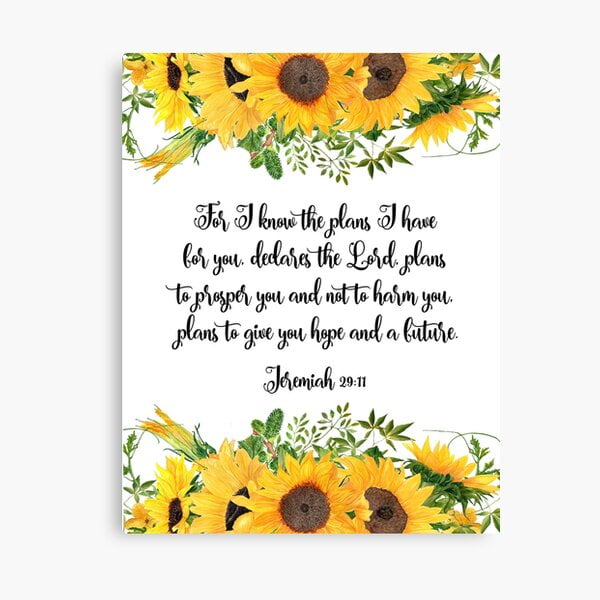 AatoeaX Jeremiah 29:11, For I know the plans I have for you, Scripture ...