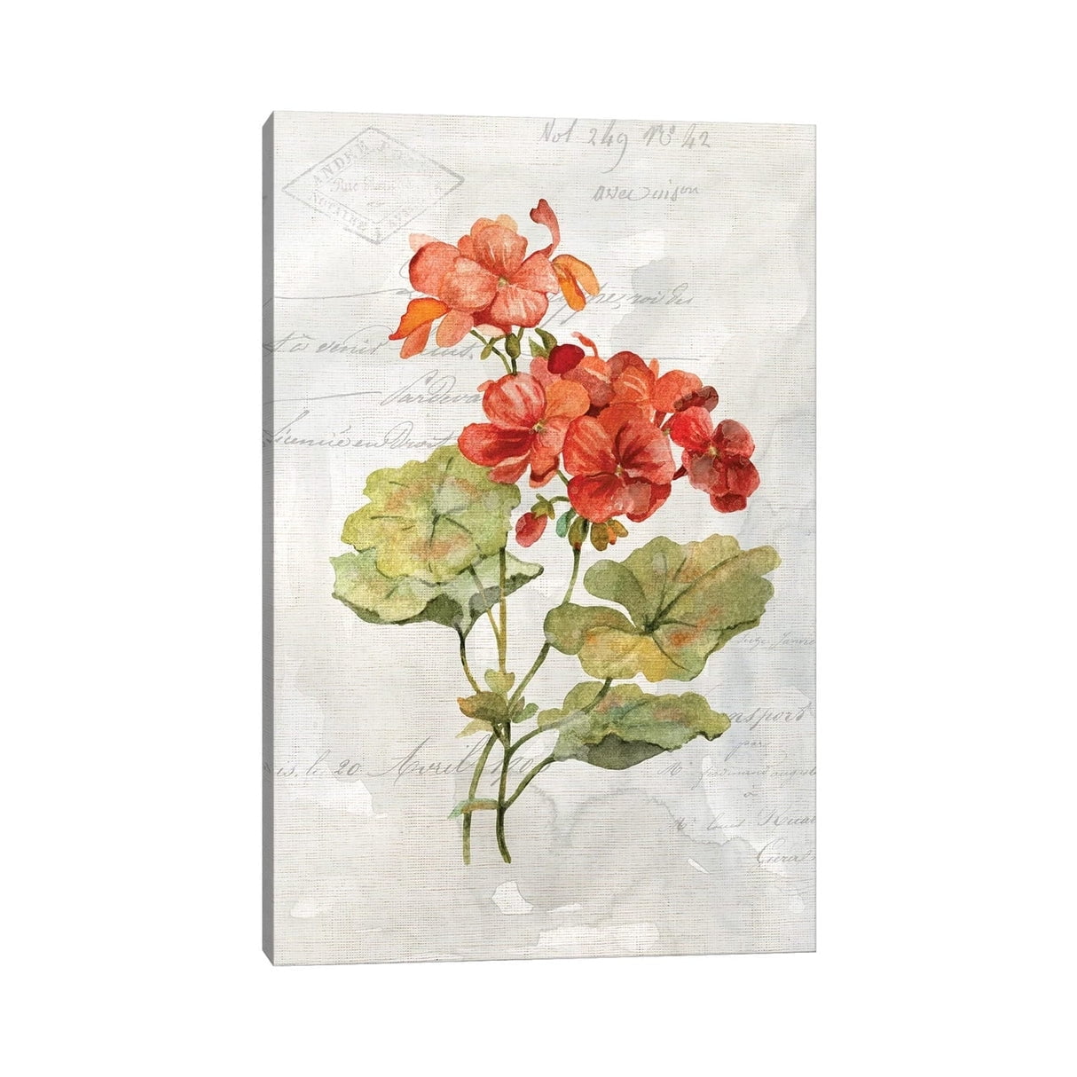AatoeaX "Linen Geranium" Canvas Print Modern Wall Art Canvas Poster ...