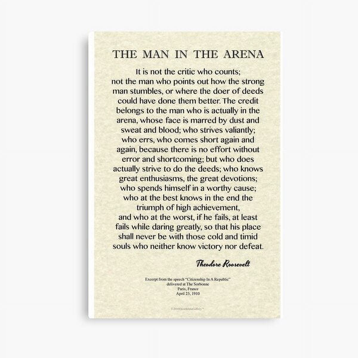 AatoeaX The Man In The Arena by Theodore Roosevelt Canvas Print Modern ...