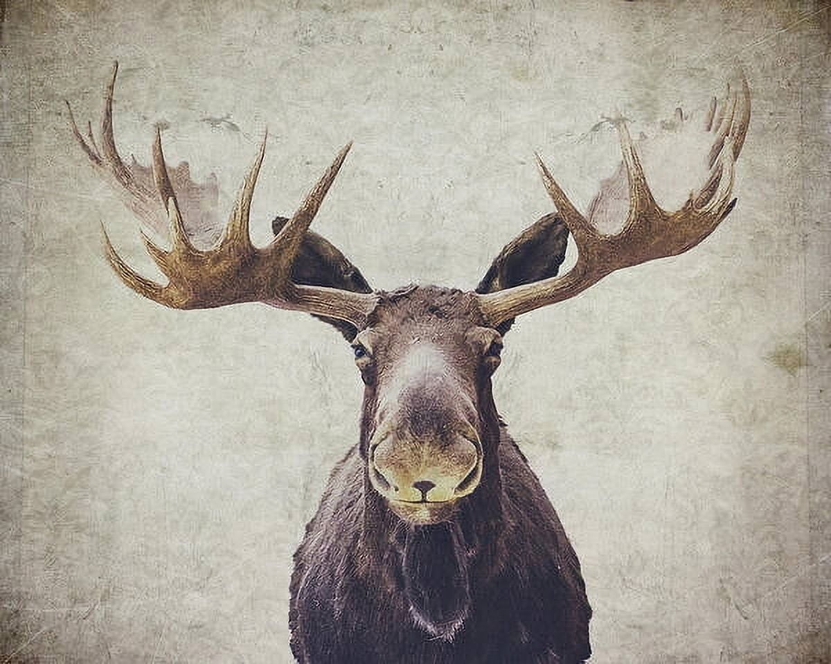 AatoeaX Moose Poster Modern Wall Art Canvas Poster – Home, Office Decor ...