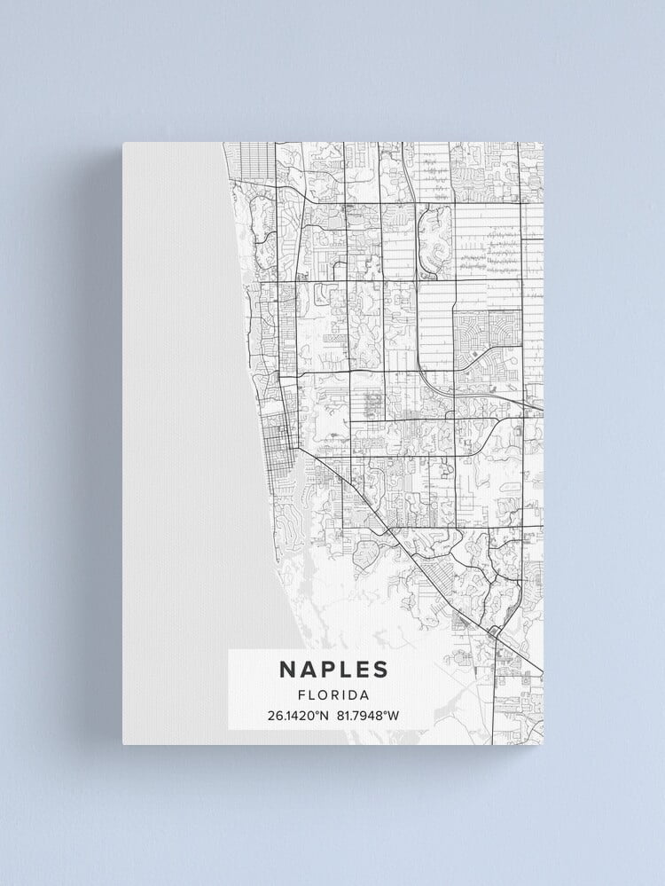 AatoeaX Naples Florida Map Canvas Print Modern Wall Art Canvas Poster ...