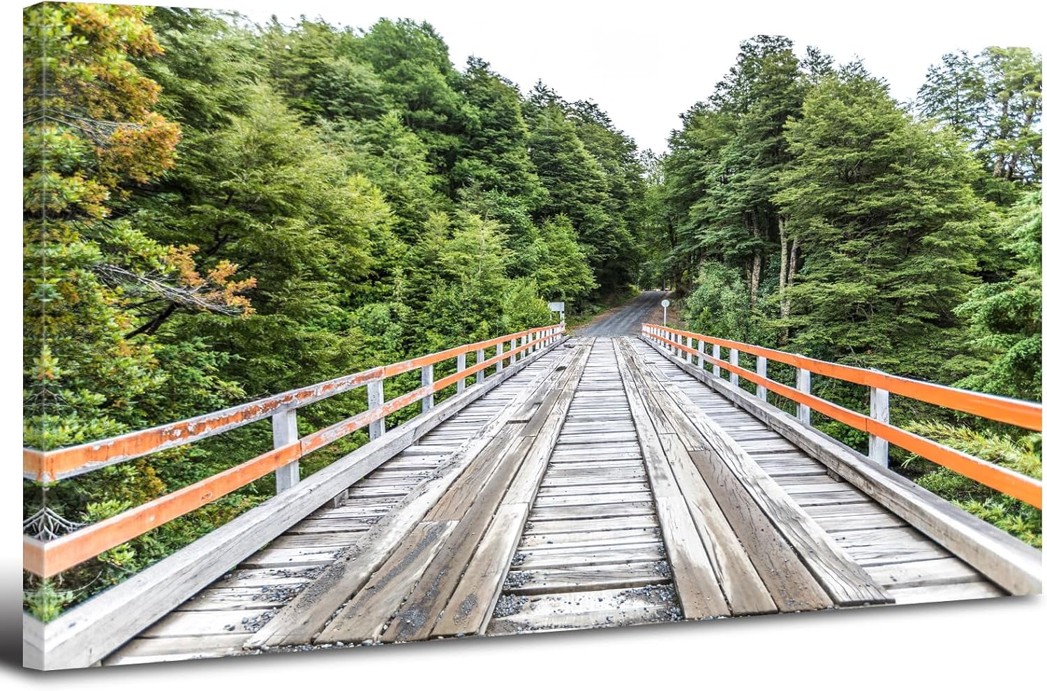 AatoeaX Natural Landscape Wall Art Evergreen Coniferous Trees Natural ...