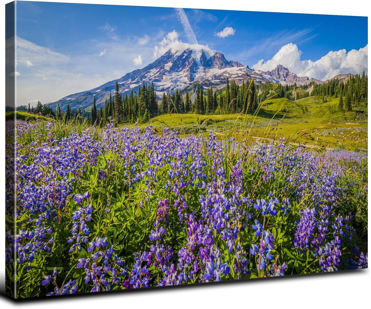 AatoeaX Nature Mt Mountain Wall Art Oregon National Park Picture Prints ...