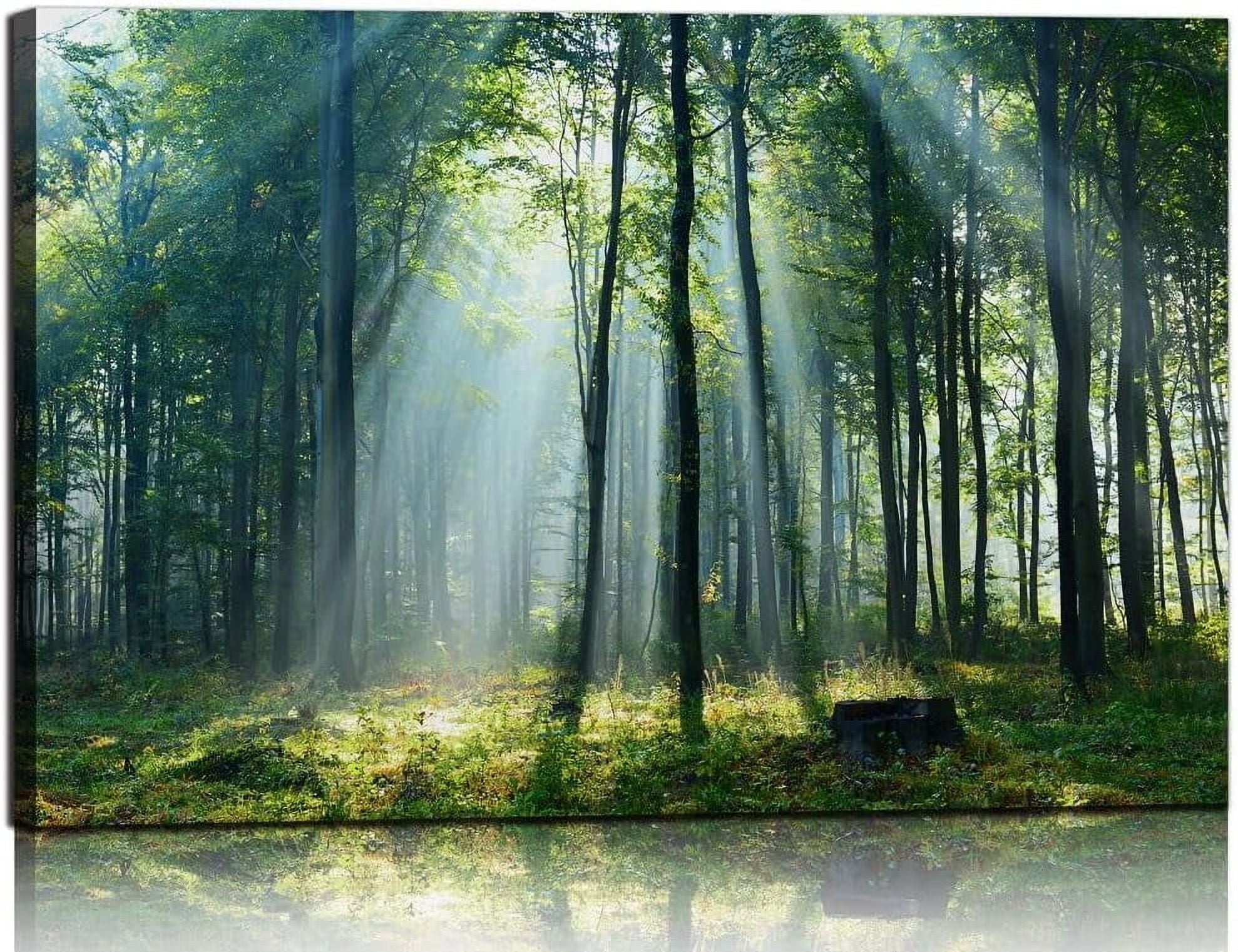 AatoeaX Nature Wall Art Green Forest Canvas Pictures Scenery Wall Art ...